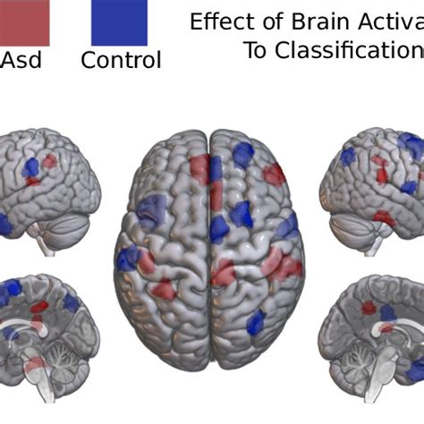 Relevancy Maps For Individual Cognitive Tasks In The Hcp Task Dataset