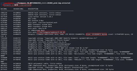 Analyzing Firmware And Extracting Filesystem Redfox Security Pen Testing Services