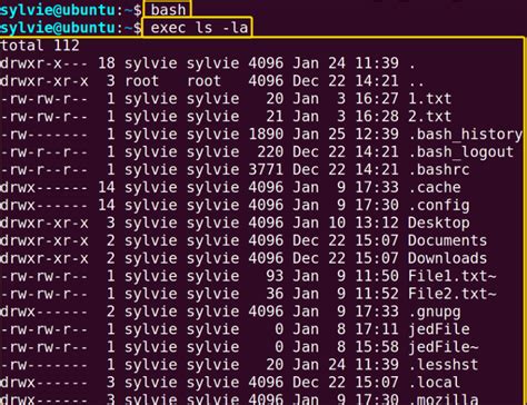 The Exec Command In Linux Practical Examples
