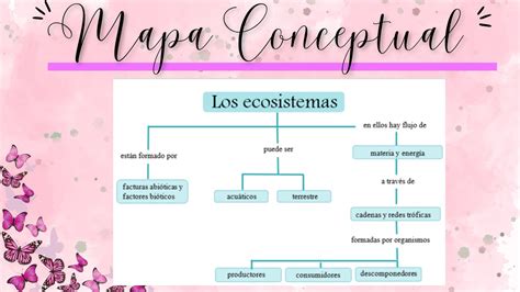 Hoja De Trabajo Con Mapa Conceptual De Ecosistemas Los Ecosistemas