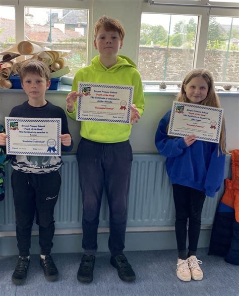 Borgue Assembly 28 5 21 Auchencairn And Borgue Primary School Partnership