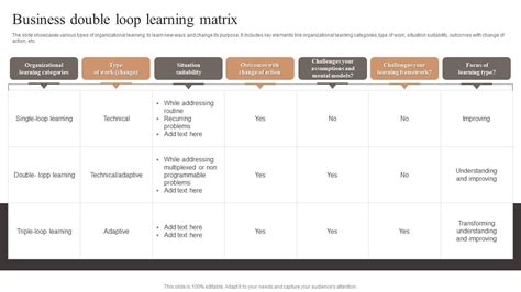 Business Double Loop Learning Matrix Ppt Sample