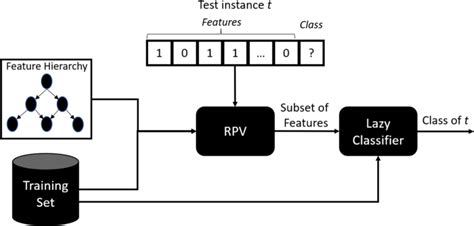 Diagram Illustrating The Inputs And Output Of The Rpv Method For A