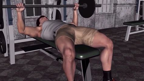 Gym Muscle Growth Thisvid Com