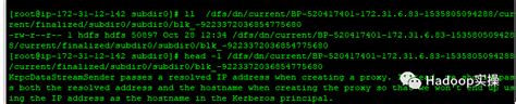 0434 如何在cdh60中使用纠删码cdh6 Hdfs Ec Csdn博客 0434 如何在cdh60中使用纠删码cdh6 Hdfs Ec Csdn博客