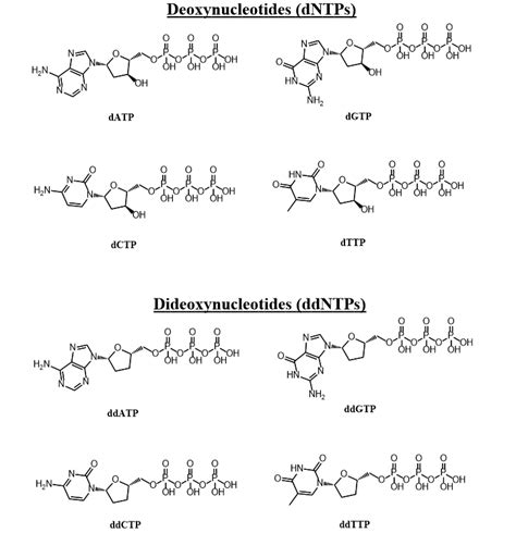 Dntp Definition Express Delivery Gbu