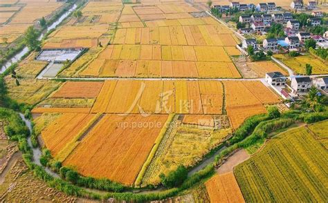 江苏如皋：高标准农田绘就美丽乡村新画卷 人民图片网