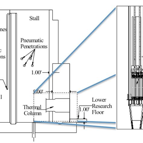 Thermal Neutron Flux As A Function Of Distance From The Reactor Core Download Scientific