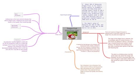 Dragon Fruit Hylocereus Spp 1634266744673 Coggle Diagram