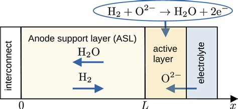 Schematic Of Anode Supported Sofc Anode The Sketch Is Strongly Not To