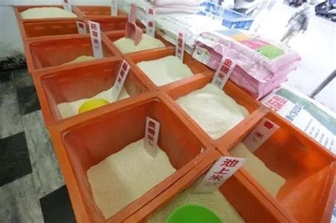存粮存萝卜存土豆民进党当局要干什么 军事频道 中华网