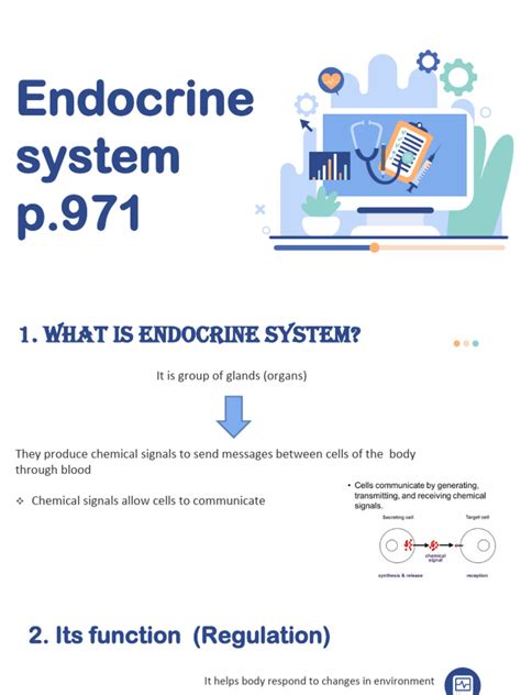 Lesson 2 Endocrine System Pdf Endocrine System Pituitary Gland