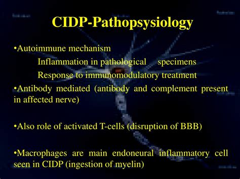 Ppt Chronic Immune Mediated Demyelinating Polyneuropathy Powerpoint Presentation Id 389181