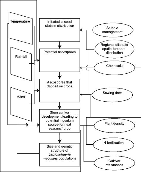 Flow Chart Of A Spatially Explicit Model Aimed To Define Integrated Download Scientific Diagram