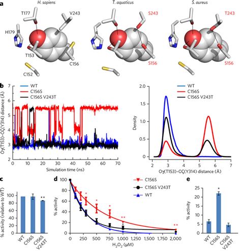 A Compensatory Mutation Restores Oxidation Sensitivity In The C156s