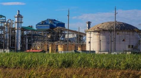 Planta De Generación Eléctrica Del Meta Con Base En Biogás Ejemplo De