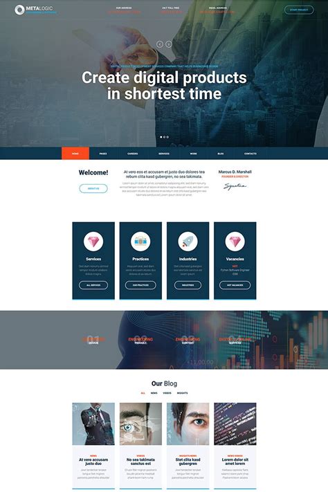 Metalogic Software Development Wordpress Theme Site Web Design Website Design Layout