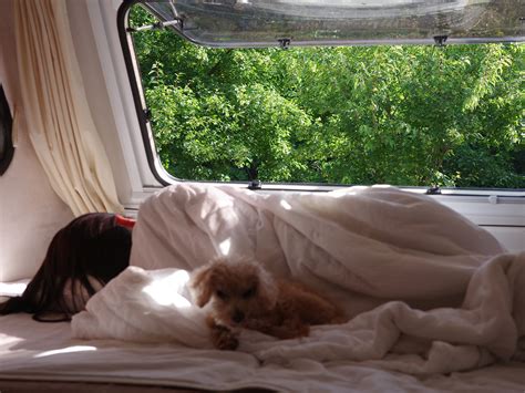 덕질·친구·여행·운동은 나의 힘 프로의 휴가 계획법