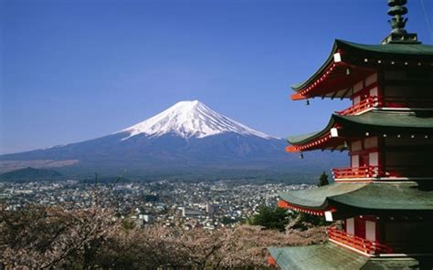 【農林水産省初公表】訪日外国人観光客は日本のお菓子が大好き！？ 新会社設立jp