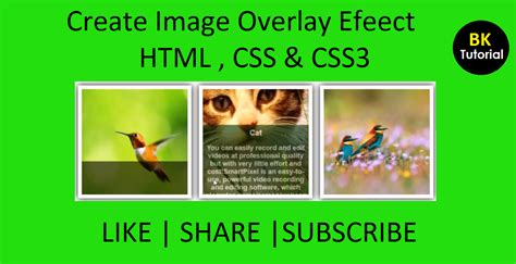 Create A Image Overlay Effect Text Over An Image Hover Without