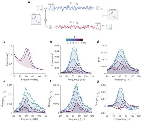 bidirectional communication with inter areal delays comparison between