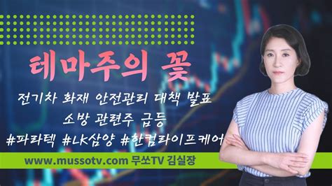 무쏘tv 김실장 240906 전기차 화재 안전관리 대책 발표 소방 관련주 급등 파라텍 Lk삼양 한컴라이프케어 Youtube