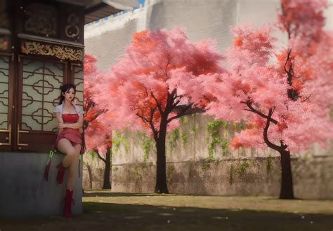 流星蝴蝶剑美图更新·~~~~ 哔哩哔哩