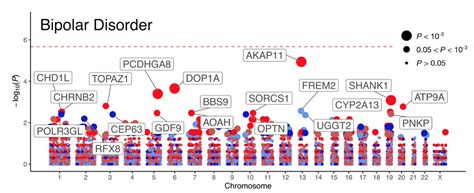 Bipolar Disorder Genetic Component