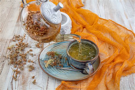 투명한 유리 주전자와 린든 티컵 약용 식물 허브 차에 사용되는 꽃 팅크 허브 라임 트리 차 닫습니다 복사 공간 0명에 대한 스톡 사진 및 기타 이미지 Istock