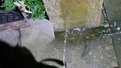 Having A Final Nightime Piss In The Garden Before Bed Xhamster