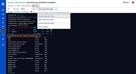 Managing Kubernetes Clusters With Cluster Terminal Access