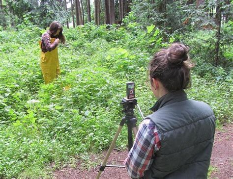 How To Videos Cultivating Forest Stewardship