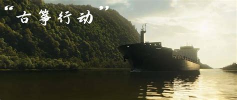 超震撼！“古筝行动”这波操作有点溜虫子汪淼审判