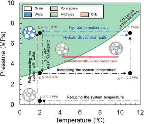 Schematic Diagram Of The Experimental Procedure Download Scientific