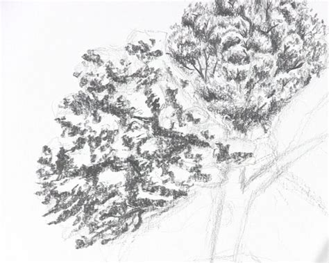 How To Draw A Tree With Leaves In A Surprisingly Familiar Way Let S Draw Today