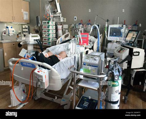 Life Support In Intensive Care Patient On Extracorporeal Membrane