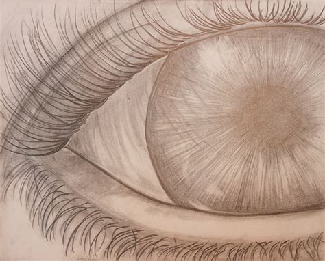 Macro Drawing On Behance