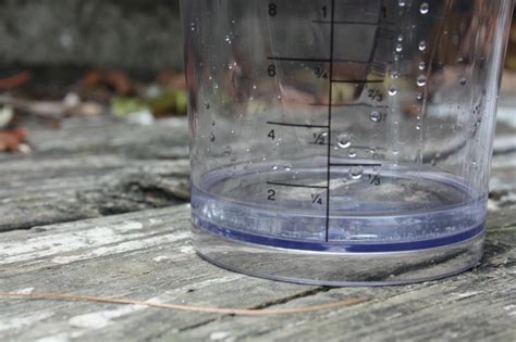 Why Ill Never Leave Home Without My Echinacea Root Tincture Again