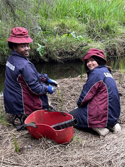 Yr 6 Tree Planting St Munchin S Catholic Babe Gosnells