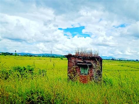 Photosinmymind Blue Sky And Greenland Green Greentrees Bluesky