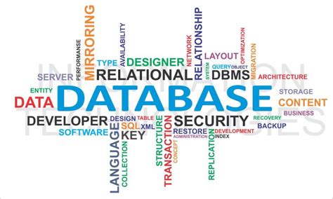 Youssef Emad On Linkedin Datascience Databasemanagement Bigdata Ai