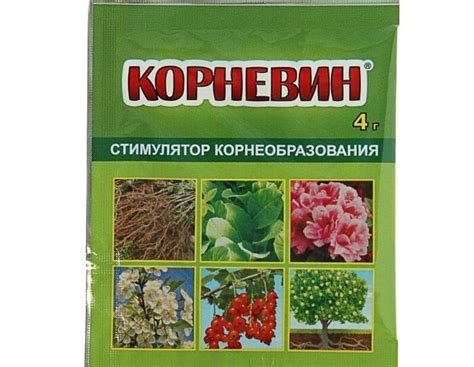 Укоренитель для рассады: 10 лучших стимуляторов корнеобразования для ...