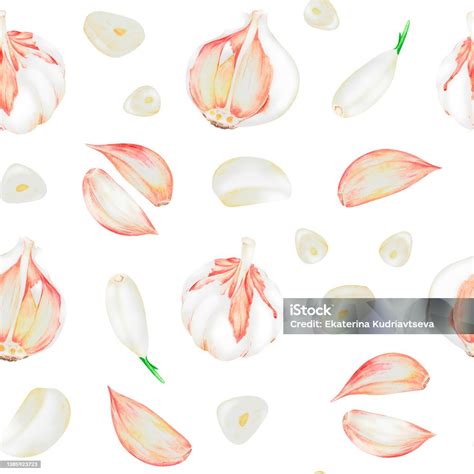 마늘의 매끄러운 패턴 수채화 빈티지 일러스트 흰색 배경에 격리 디자인용 마늘에 대한 스톡 벡터 아트 및 기타 이미지 마늘 수채화 요리책 Istock