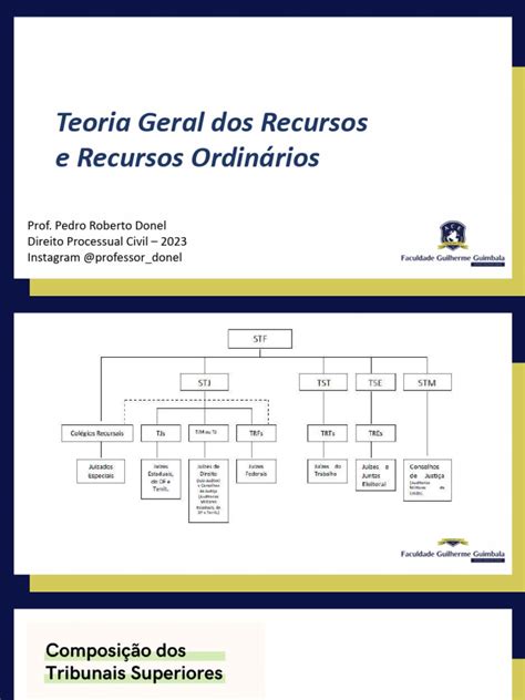 Aula 01 Teoria Geral Dos Recursos Introdução Pdf