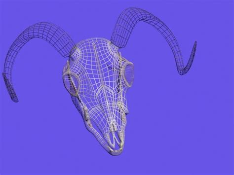 Ram Skull Model Turbosquid 1588892