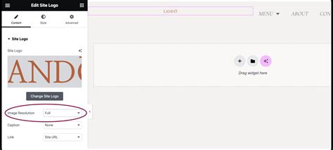 Site Logo Widget Elementor