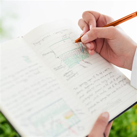 Introduction Comprehensive Sustainability Reporting Sasb Gri