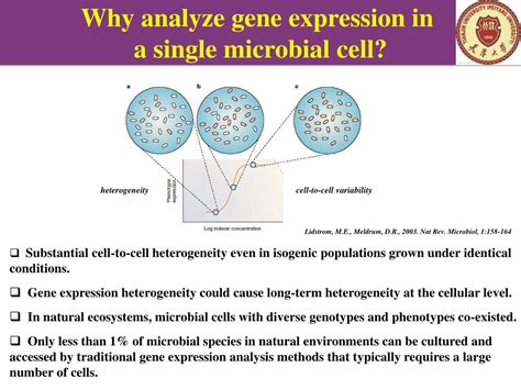 Ppt Single Cell Gene Expression Analysis Technologies And