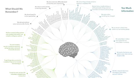 20 Cognitive Biases Poster