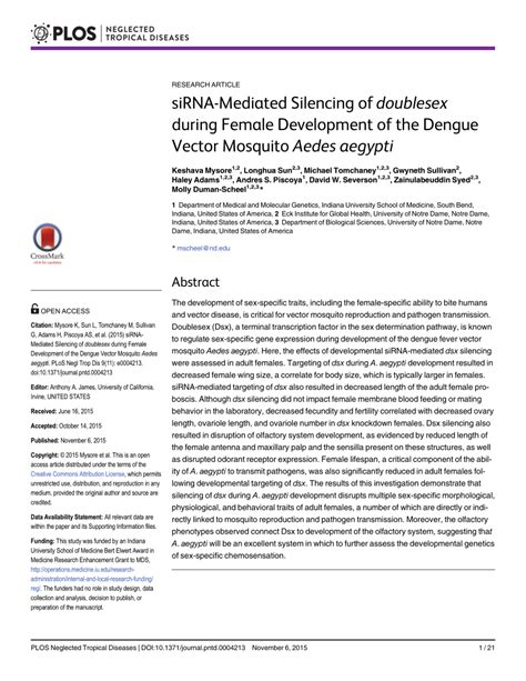 Pdf Sirna Mediated Silencing Of Doublesex During Female Development Of The Dengue Vector